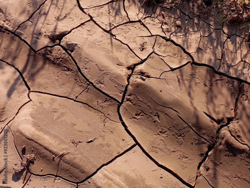 Soil texture during drought with large cracks. Terrain and natural ...