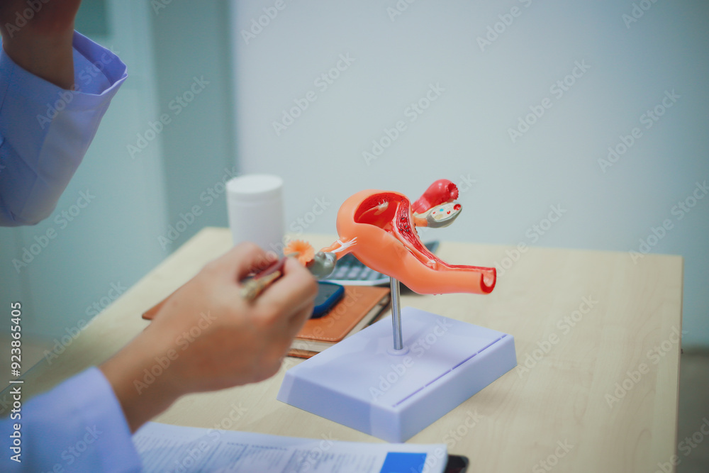 Urologists measure the size of the female genitalia using the Female ...