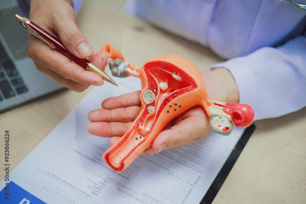 Urologists measure the size of the female genitalia using the Female ...