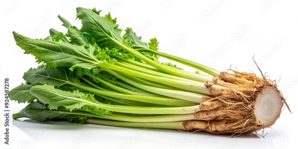 Freshly picked and isolated on a clean white background, a single raw ...