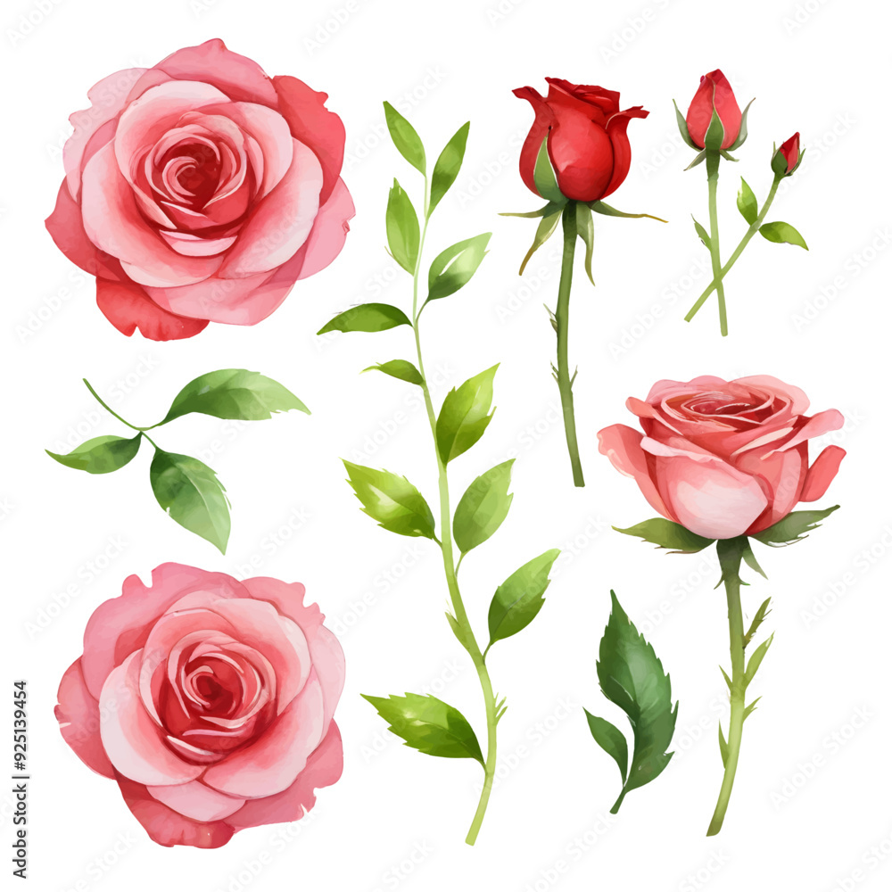 Watercolor Pink Roise Clipart, Pink Flowers Clipart, Printable Graphics ...