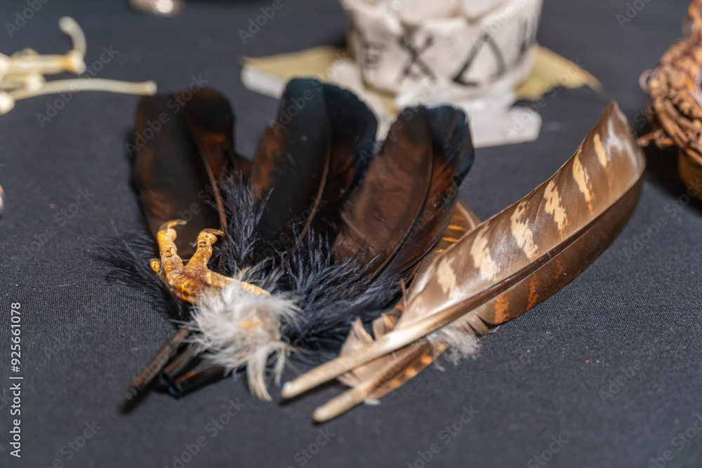 Bird’s parts feather and raven toes on witch’s altar for performing a ...