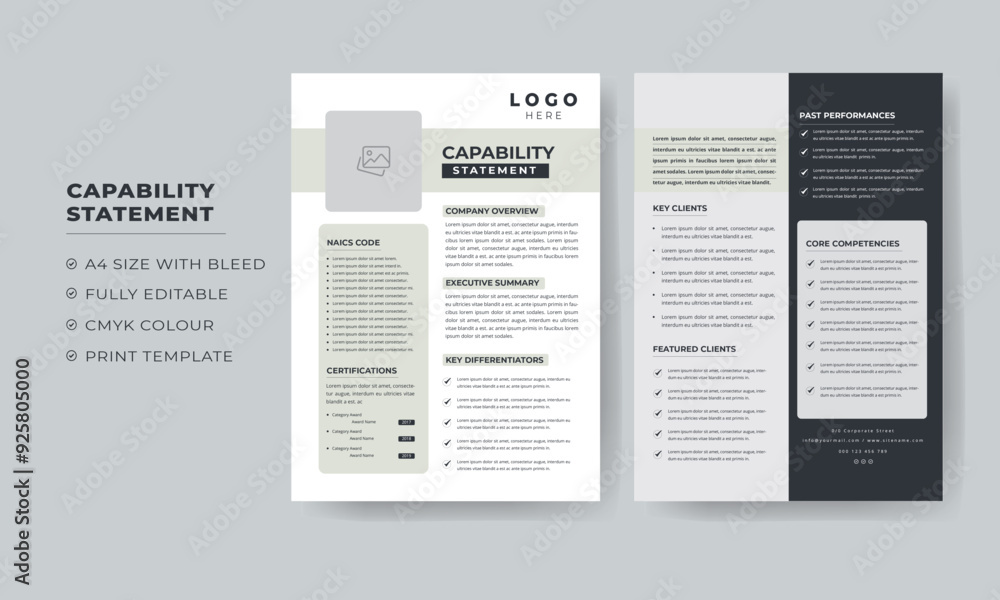 New Capability Statement design for Company documents Stock Vector ...