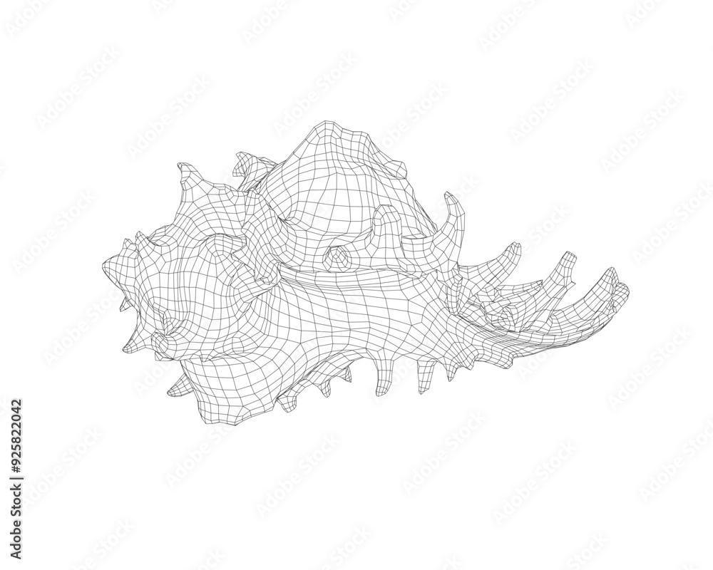 Wireframe spiral conch sea shell, sketch style vector illustration ...