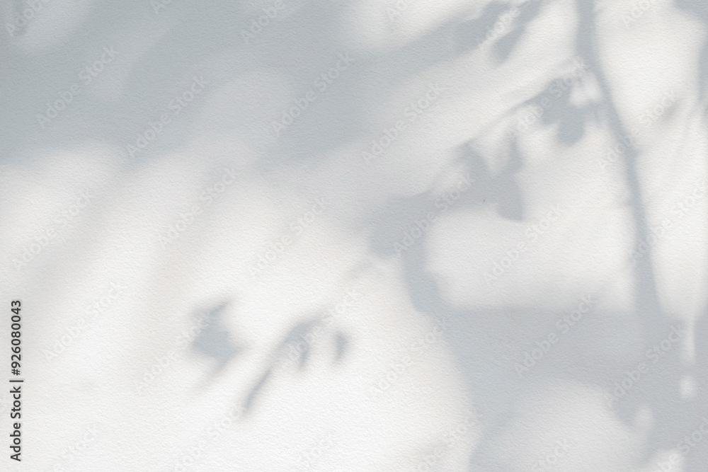Tree shadow and light of leaf branch background. Nature leaves tropical ...