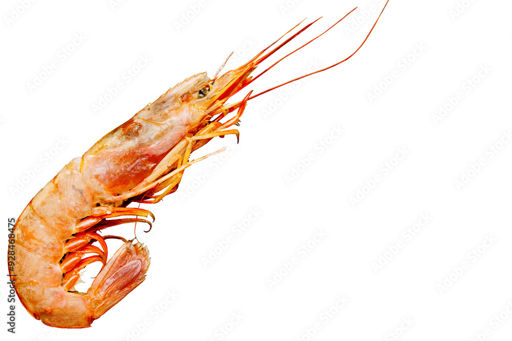 Raw big fresh prawn, shrimp on black cutting serving slate stone desk ...