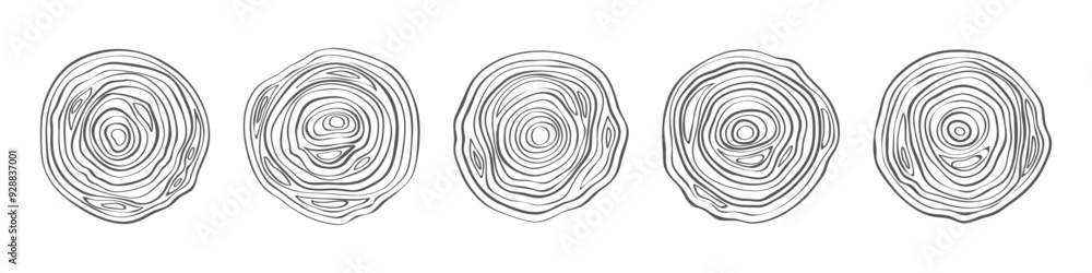 Image vectorielle Stock Tree trunks round sections. Circular wood rings ...