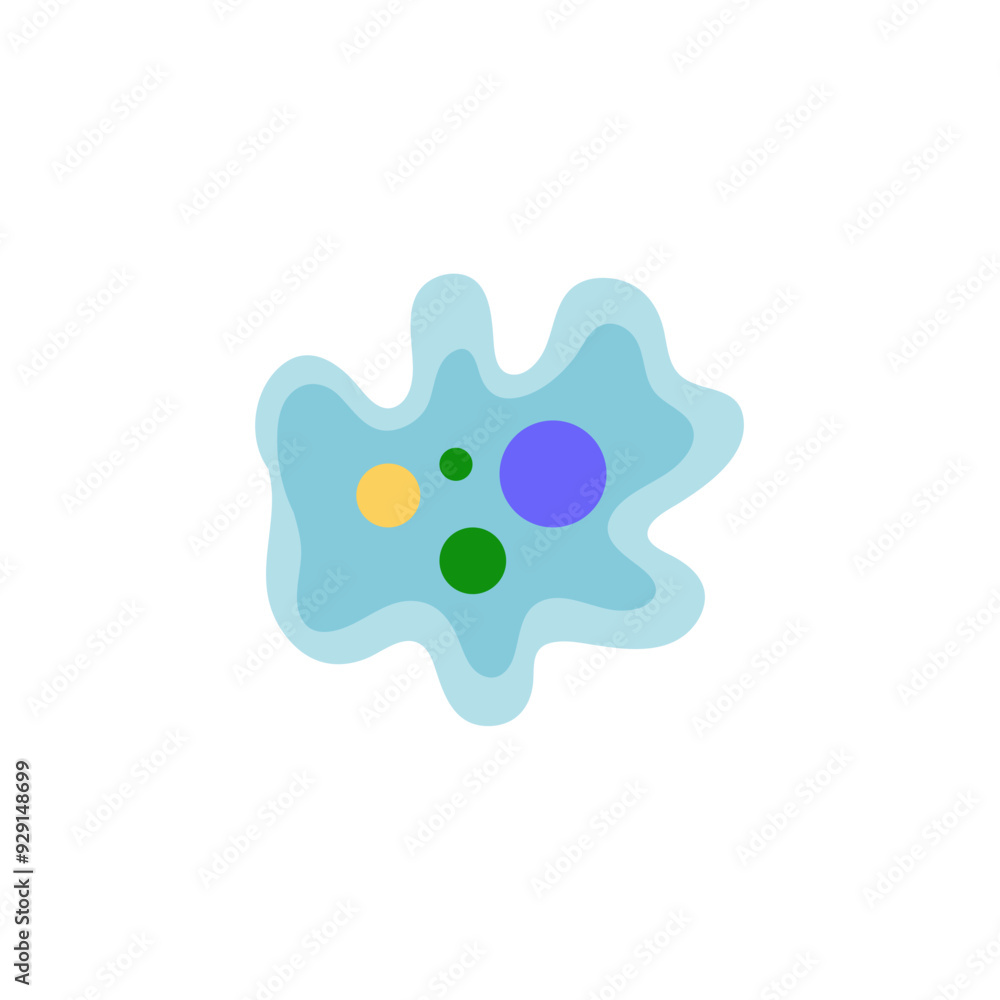 Binary fission in amoeba. Vector educational illustration. Reproduction ...