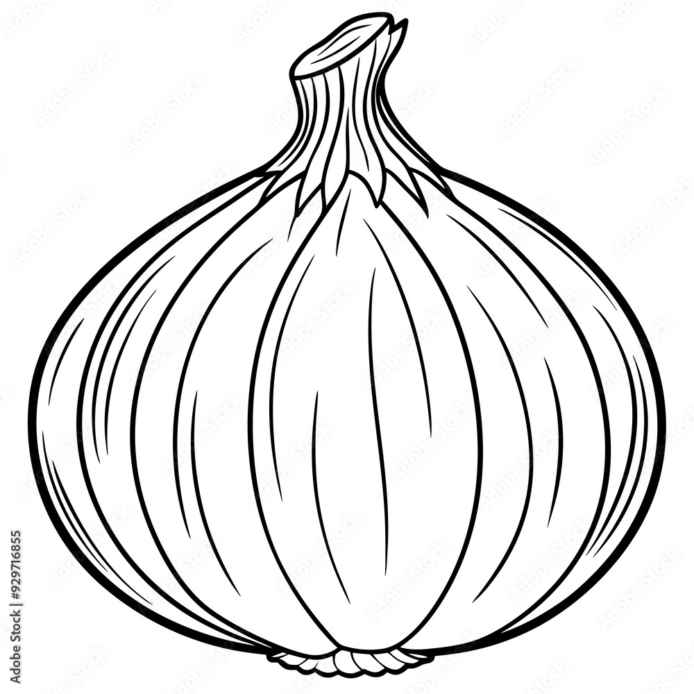 Onion line art. Onion for coloring page, vector style design Stock ...