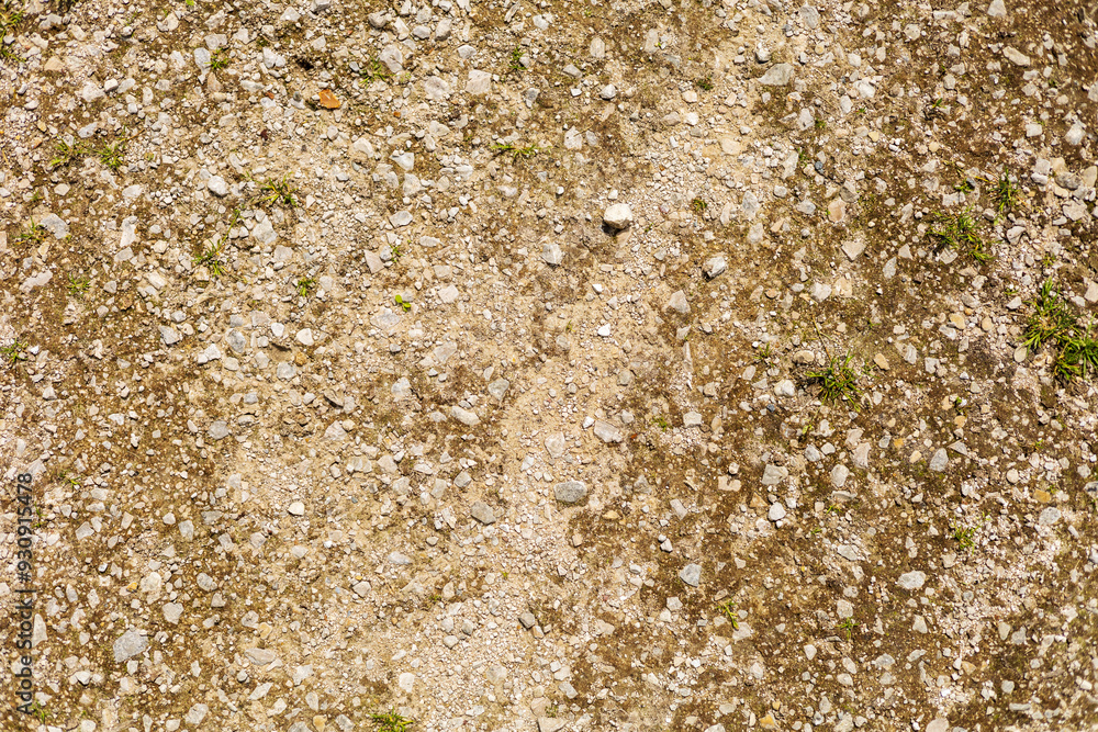 Rocky Soil Texture with Sparse Greenery Stock Photo | Adobe Stock