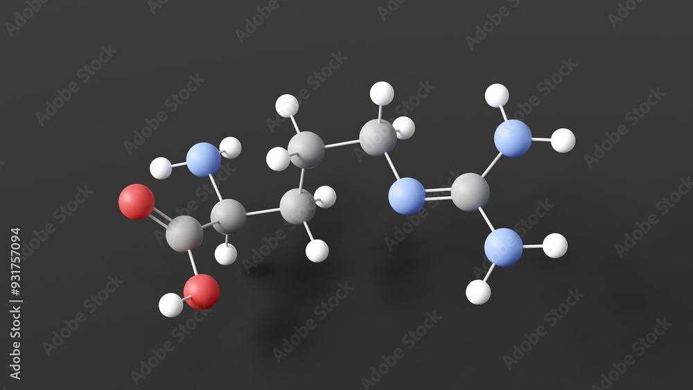 l-arginine molecule 3d, molecular structure, ball and stick model ...