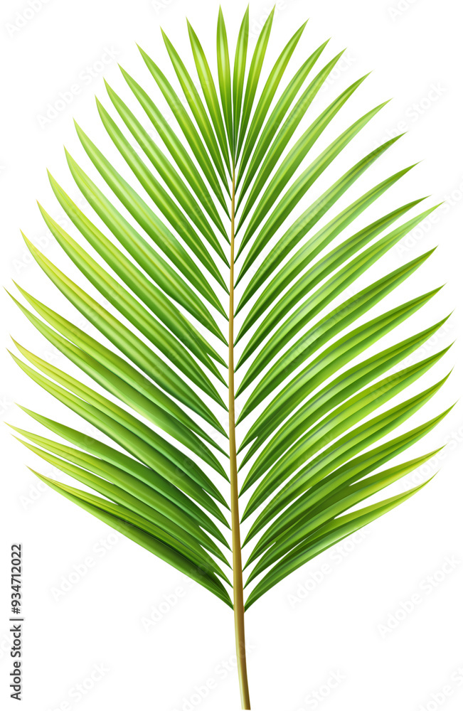 Tropical Plants and Flowers PNG Photo Overlays - High-Resolution ...