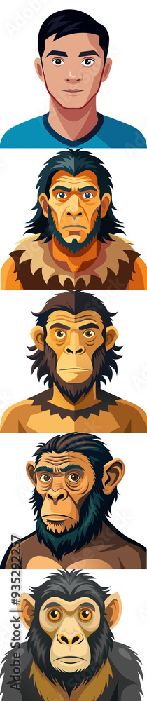 Stages of human evolution set on transparent background, male human ...