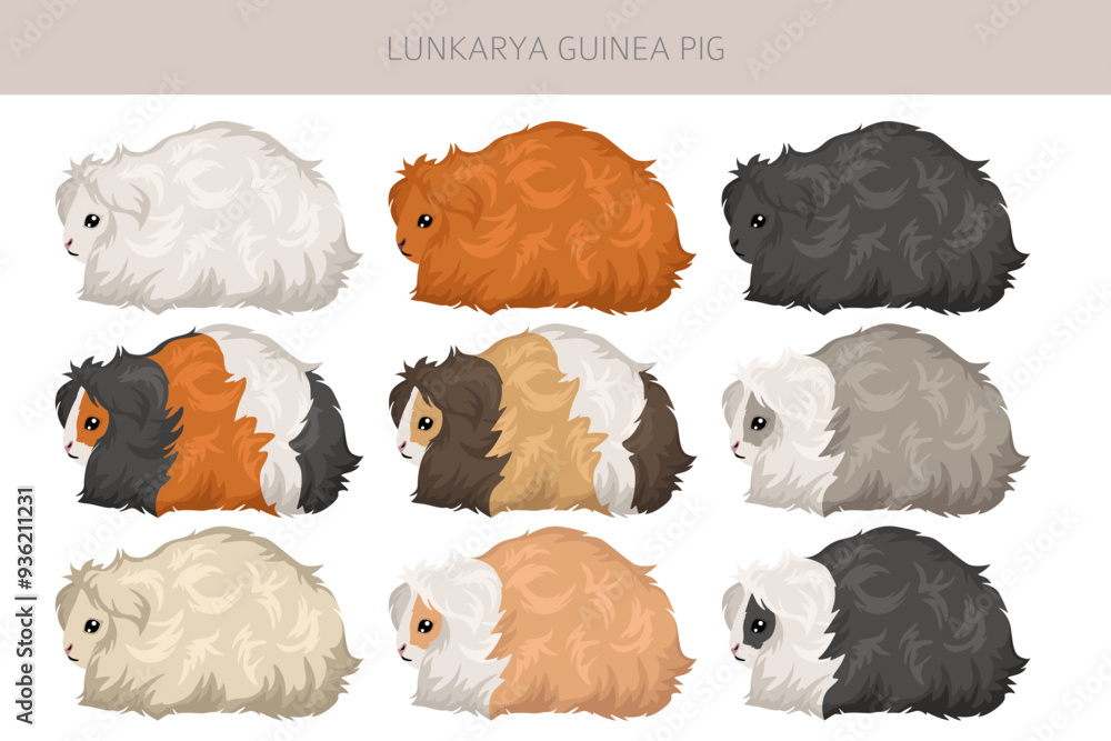 Lunkarya Guinea pig clipart. All coat colors cavies set. Small Pet ...