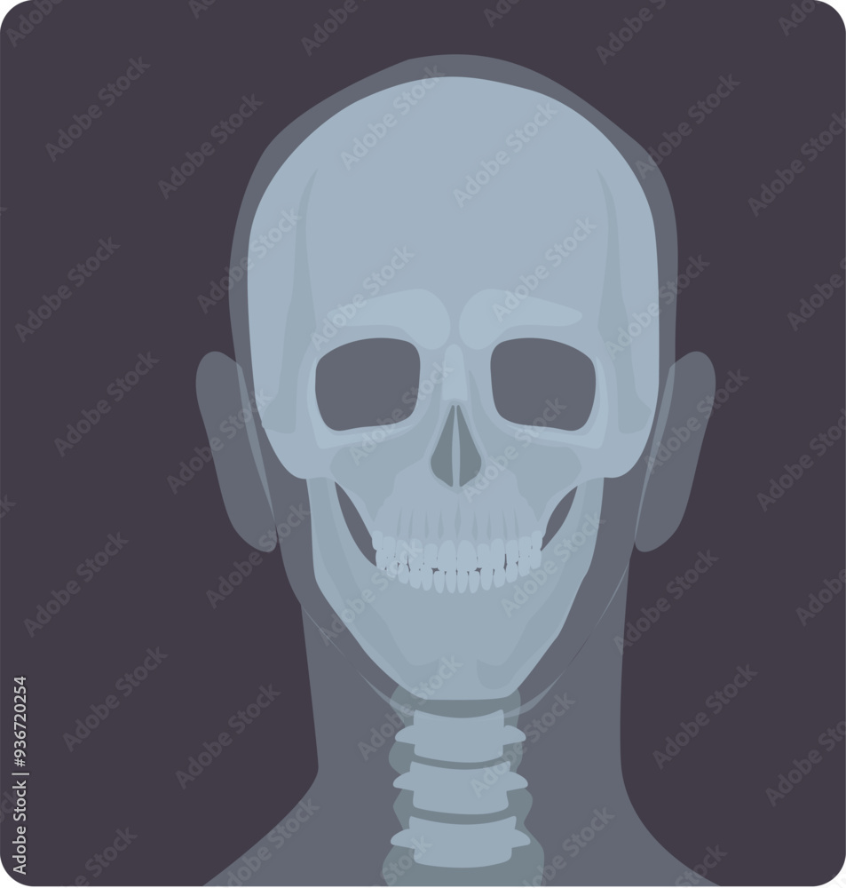 Frontal radiograph of skull. X-radiation picture or X-ray image of head ...