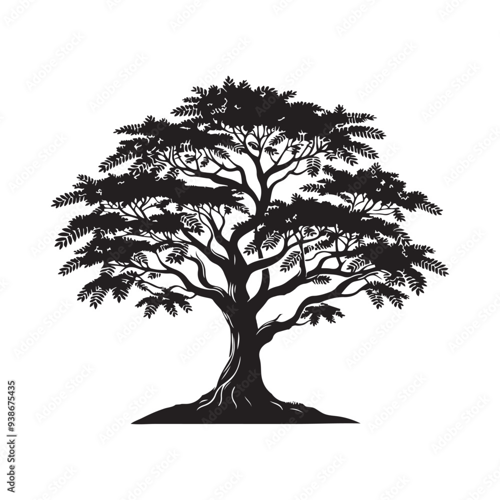 Sandalwood tree Black silhouette on a white background. Vector. Set ...