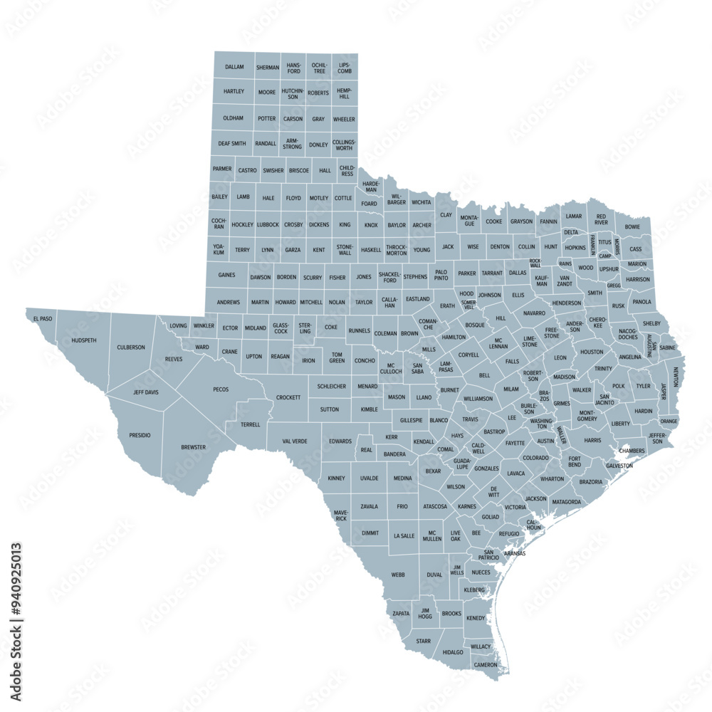 Texas, U.S. state, gray political map with borders and county names ...