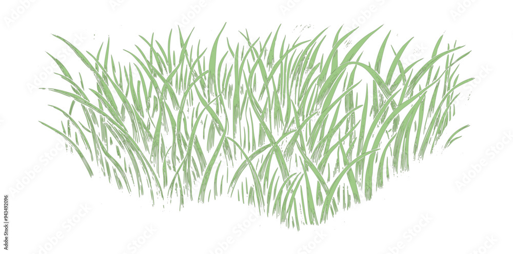grass line bander, vector in side view painting botanical for section ...