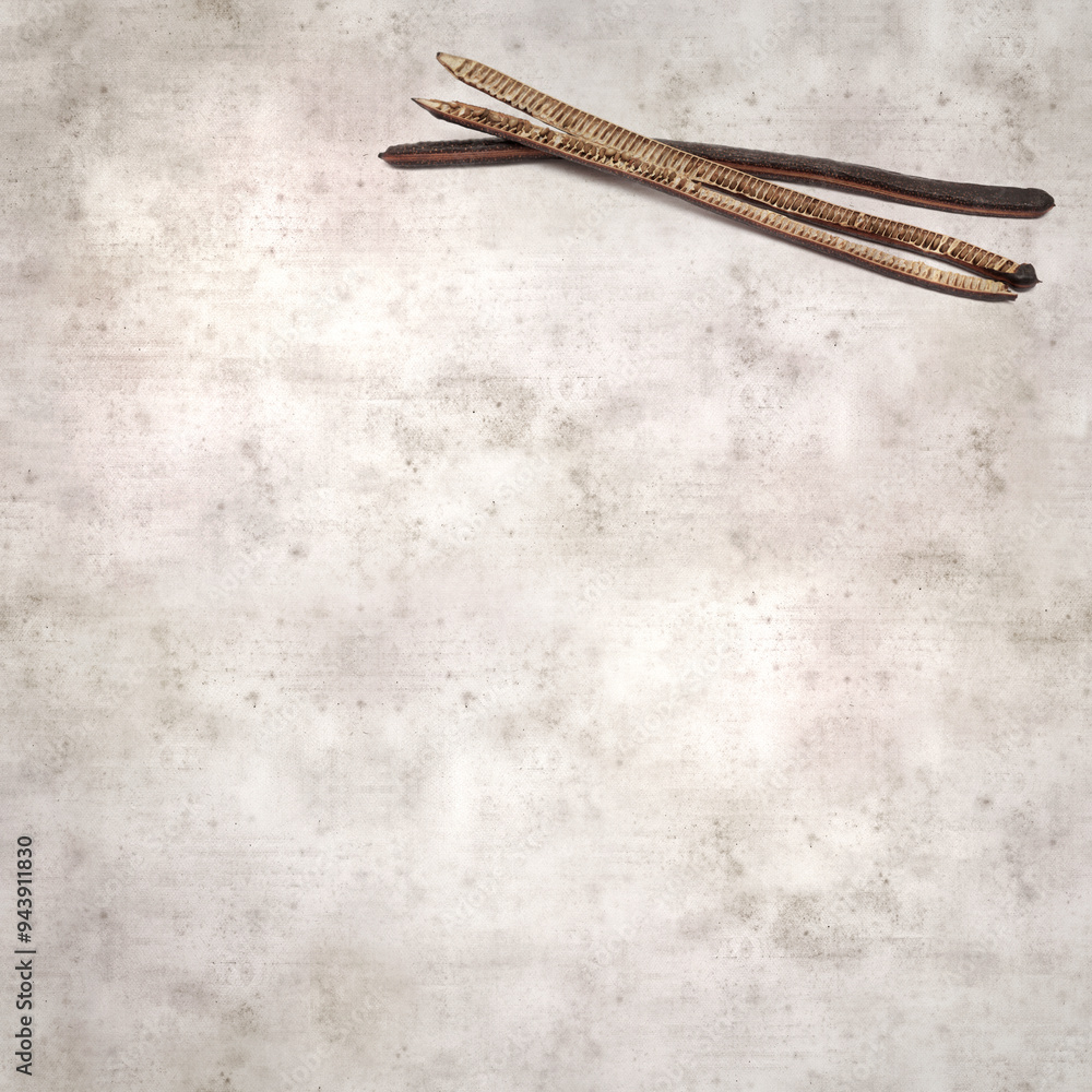 textured stylish old paper background, square, with long dark seedpods ...