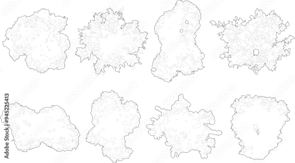 Tree plan outline silhouettes - top view 3 Stock Vector | Adobe Stock