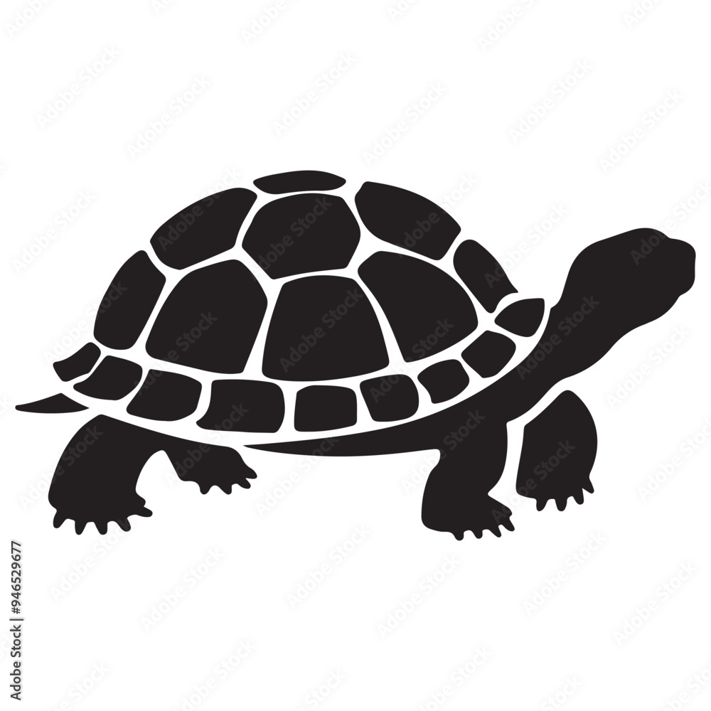 Turtle Vector Silhouette, Aldabra Giant Tortoise silhouettes and icons ...