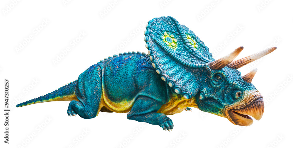 Torosaurus is a genus of herbivorous Ceratopsid dinosaurs that lived ...