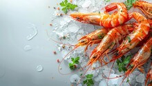 Fresh Shrimp Close-up Free Stock Photo - Public Domain Pictures
