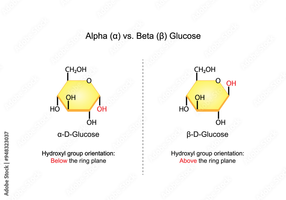 Alpha versus Beta Glucose. Stereoisomers. Chemical structure. Chemistry ...