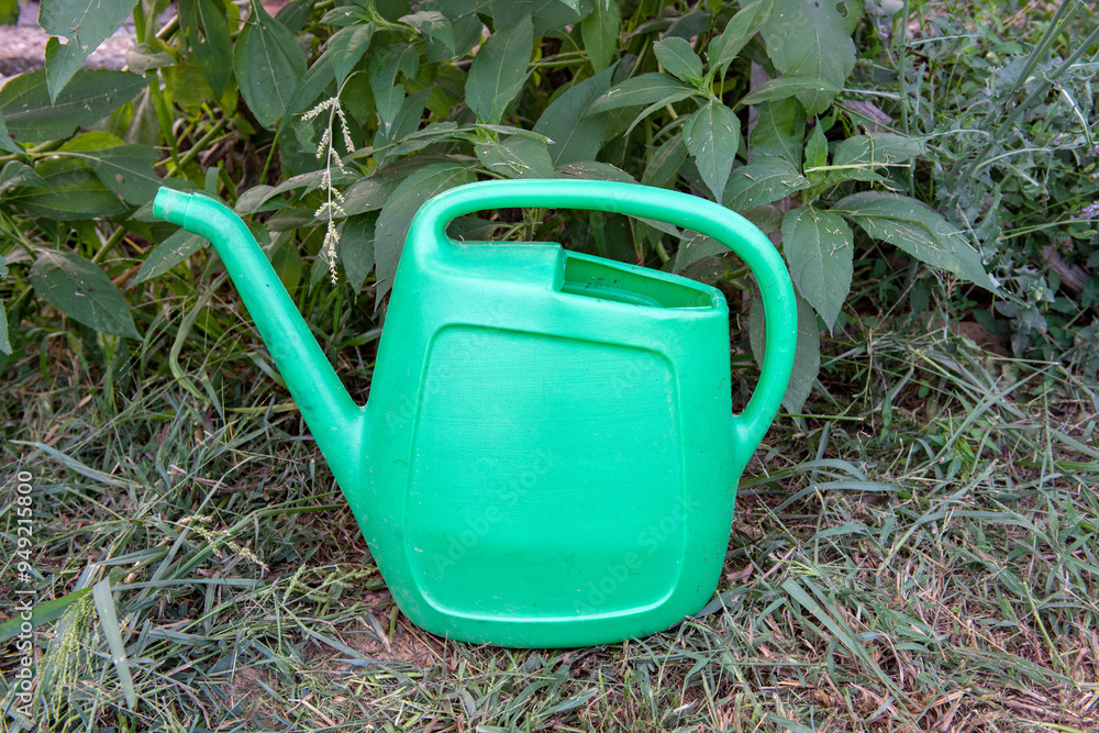green plastic watering can is an essential tool for watering plants and ...