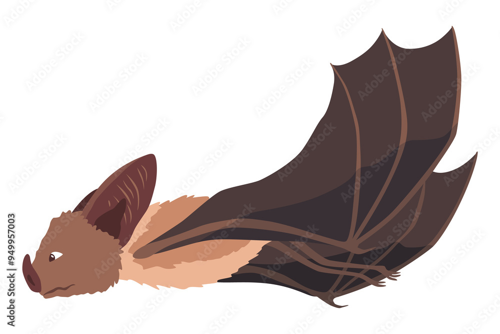 Bat. Concept cartoon bat. clipart illustration isolated on white ...