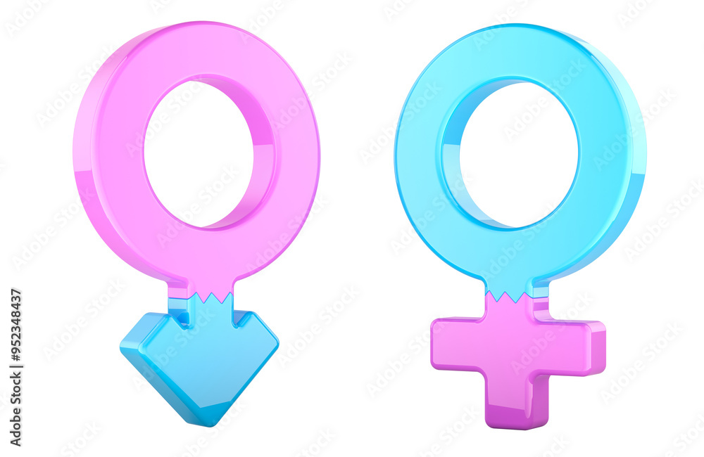 Gender transitions, concept. Female to male, male to female transition ...