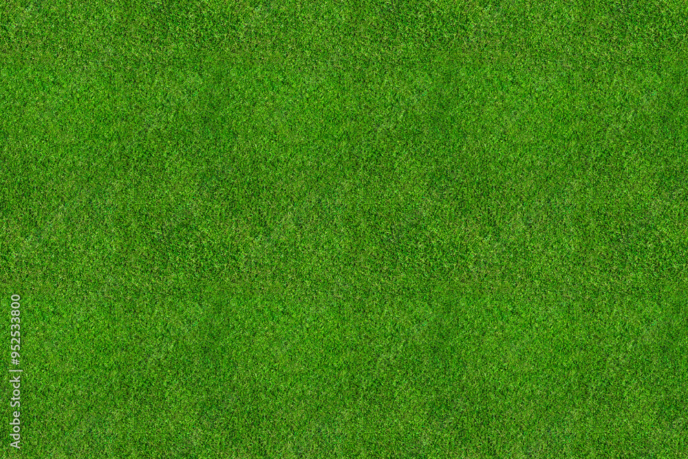 Grass background - an aerial view of a large patch of some freshly cut ...