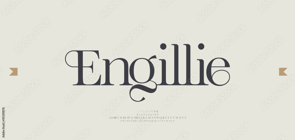 Beauty luxury elegant font alphabet logo. Typography beautiful fashion ...