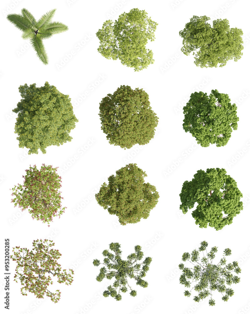 set of trees rendered from the top view, 3D illustration, for digital ...