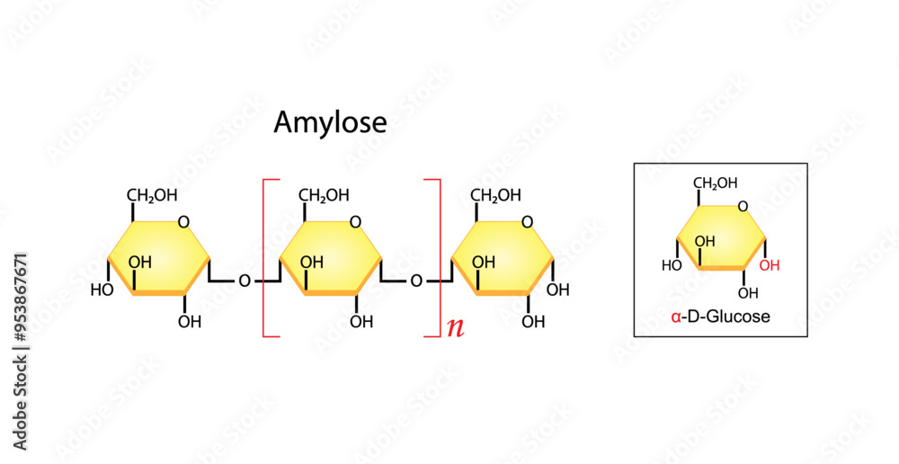 Amylose molecule. Starch molecule, Polysaccharide. chemical structure ...