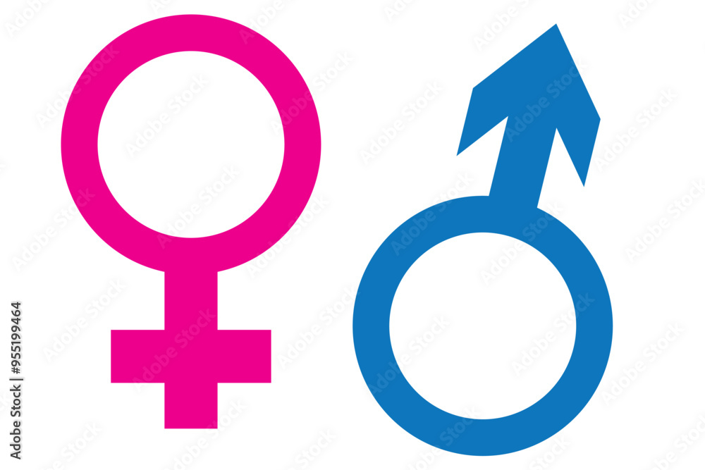 Gender Icon pink and blue symbol, Male and female symbol for your web ...