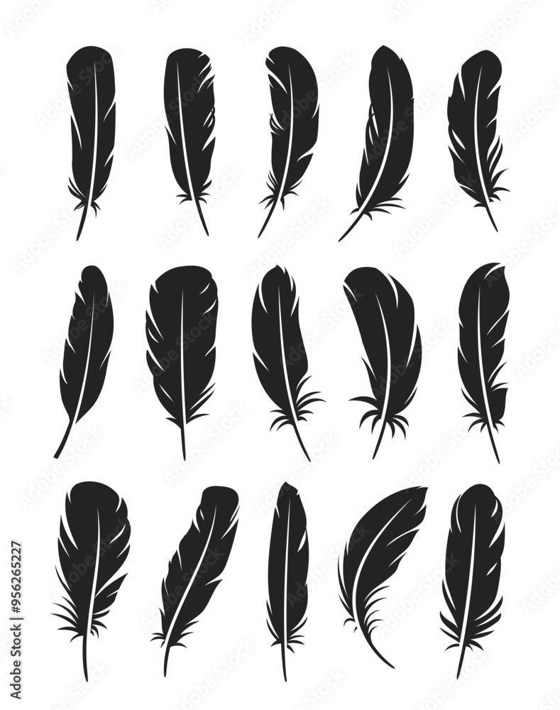 Bird feather icons set. Simple black and white symbols with different ...