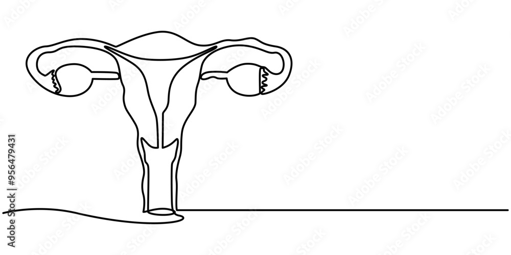 Continuous single one line drawing Uterus and ovaries, organs of female ...