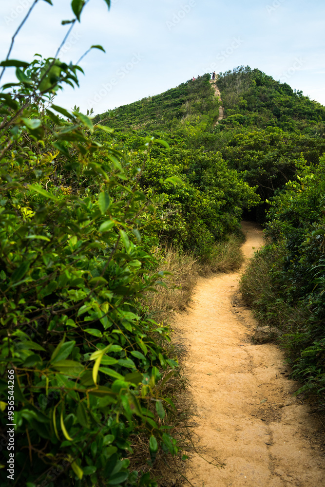 Foto de Stock Dragon's Back Trail, Hong Kong: Serene Pathway Through ...