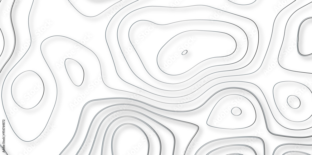 Exploring the Convergence of Topographic and Topological Elements in ...