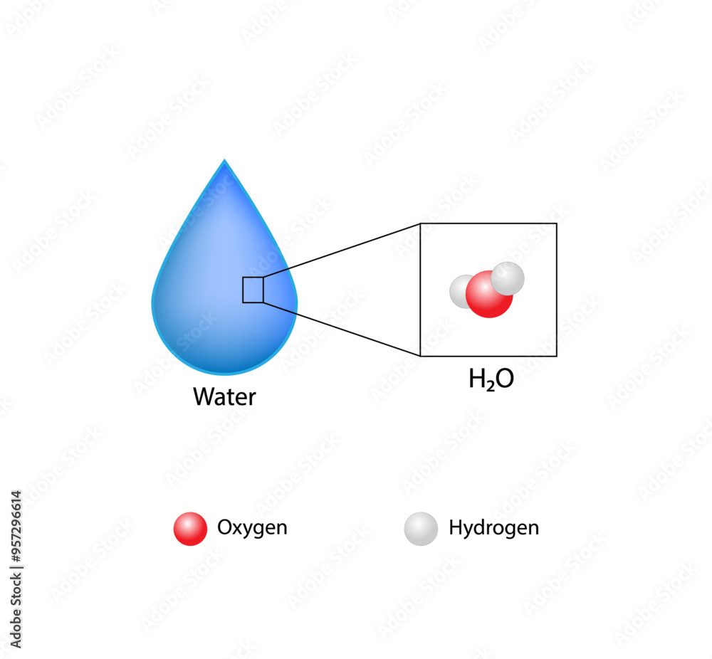 Water droplet. Water molecule structure. H2O molecule model. Vector ...