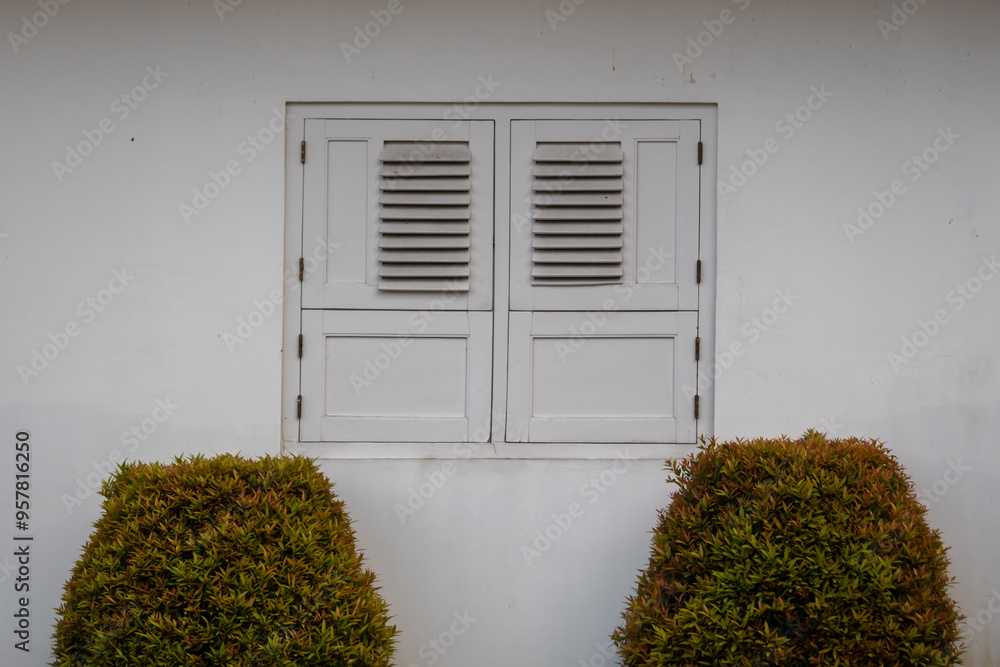 Colonial wooden windows with white walls and plants, old style windows ...