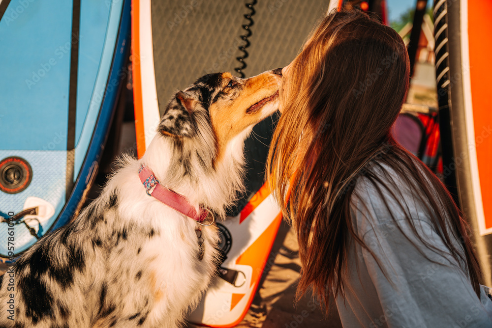 beautiful girl and smart cheerful funny tricolor dog Australian ...
