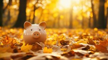Autumn River Bank Free Stock Photo - Public Domain Pictures