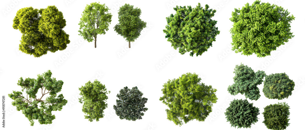 Aerial view of various tree types showcasing vibrant green foliage ...