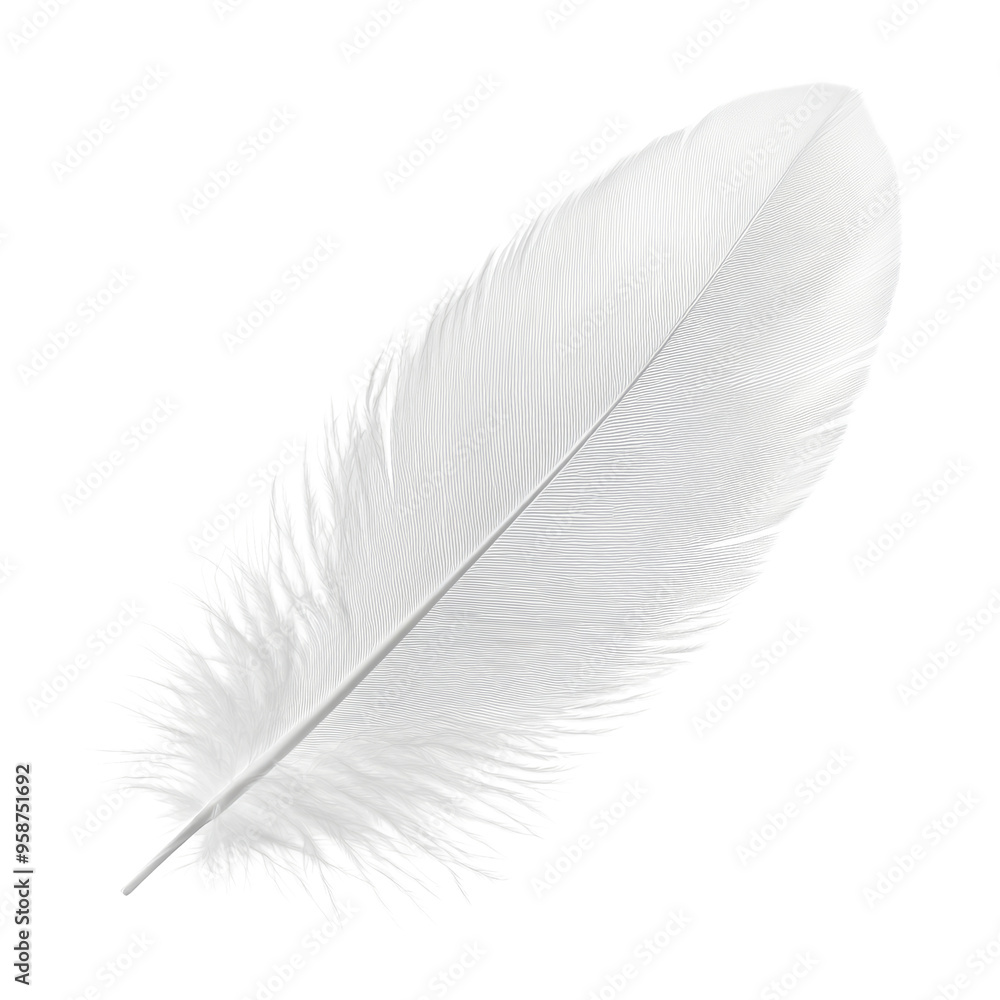 white feather isolated on transparent background cutout Stock Photo ...