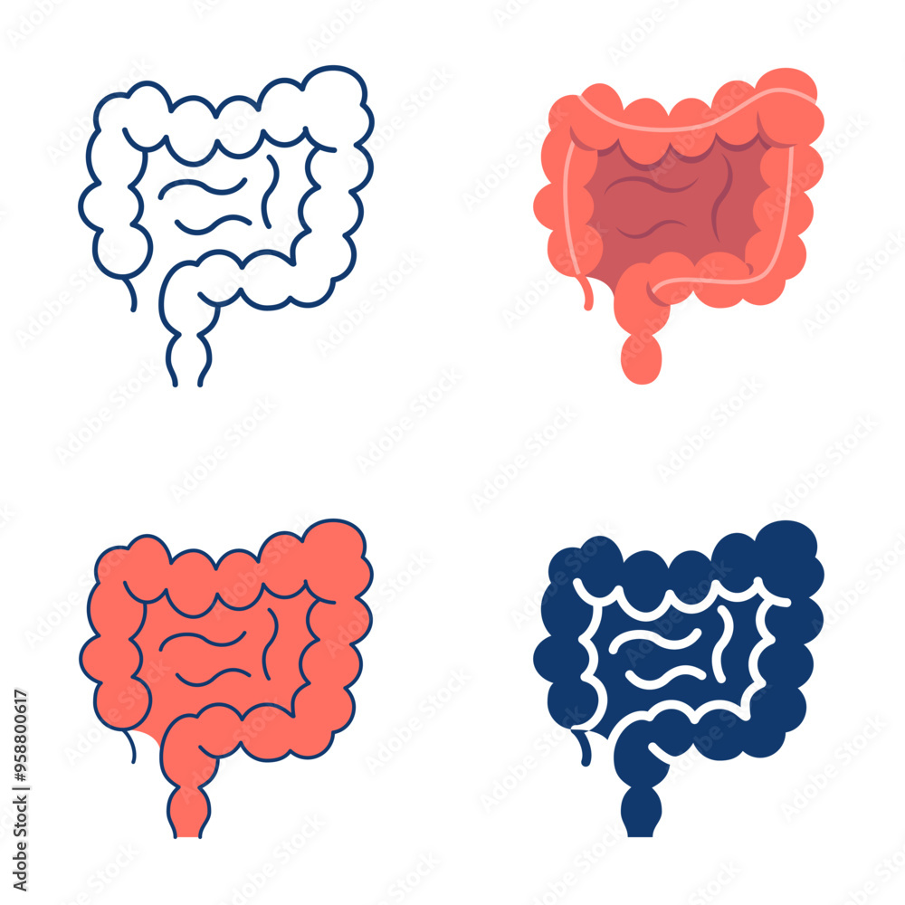 Human intestine icon set in flat and line style. Internal body organ ...