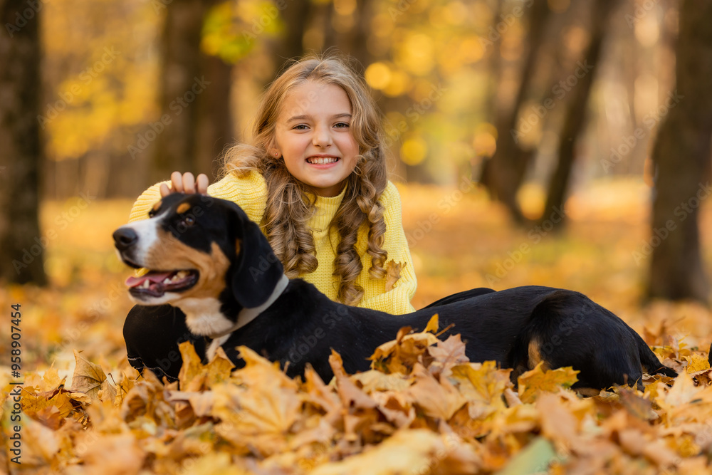 little teenage girl walks with her dog in the autumn in the forest ...