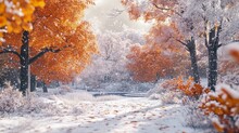 Snow Dusted Fallen Tree Free Stock Photo - Public Domain Pictures