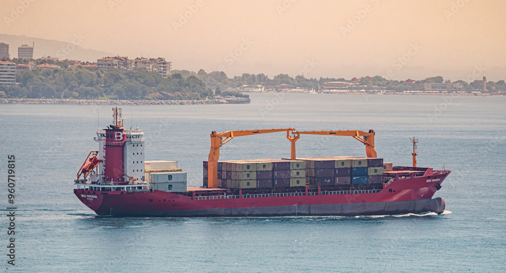 10 July 2024, Istanbul, Turkiye: A large MSC cargo vessel navigates the ...